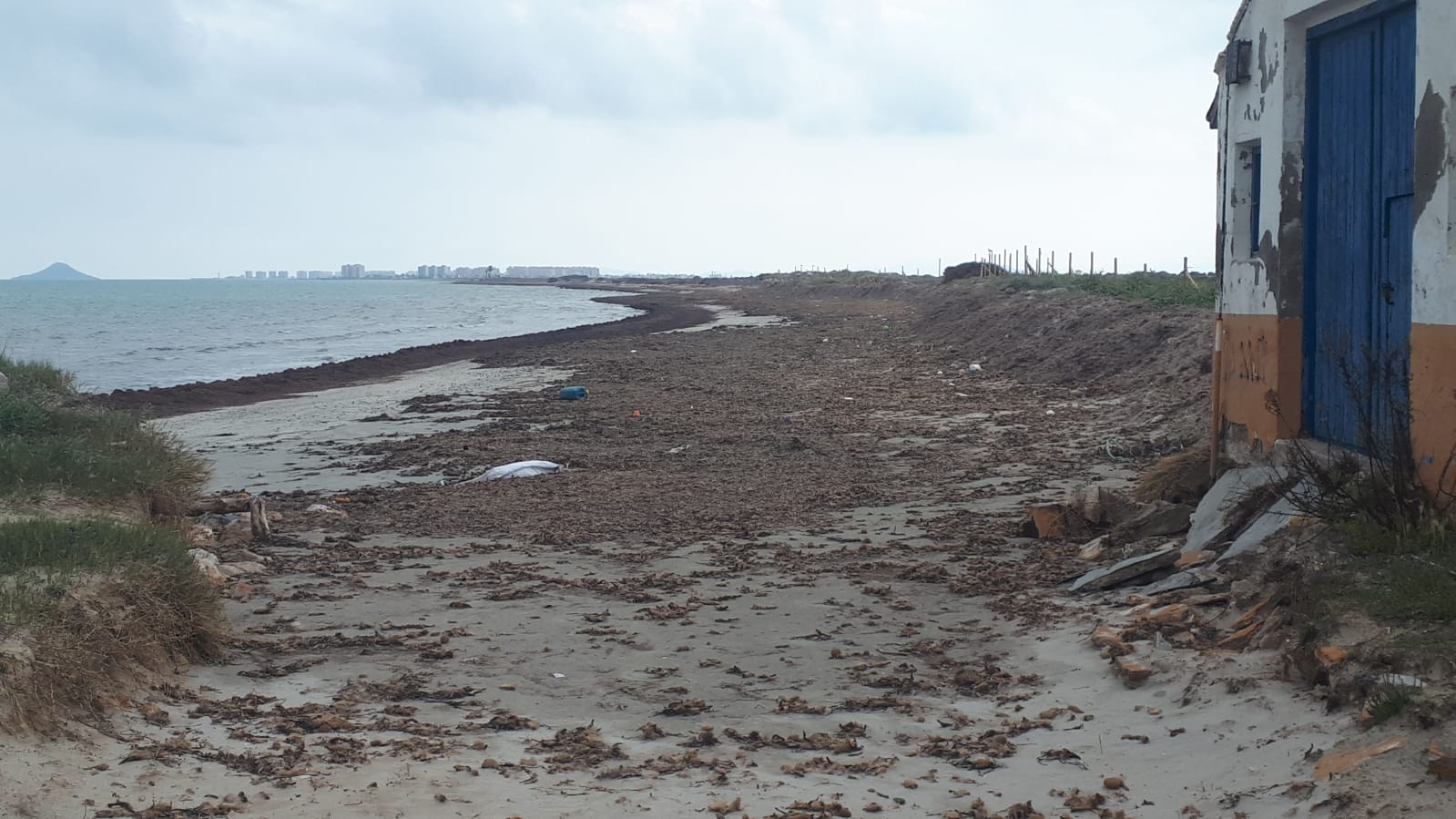 Development of LIFE Salinas actions and salt activity during the state ...